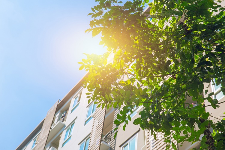 Basic need for fresh air | For our health & for us