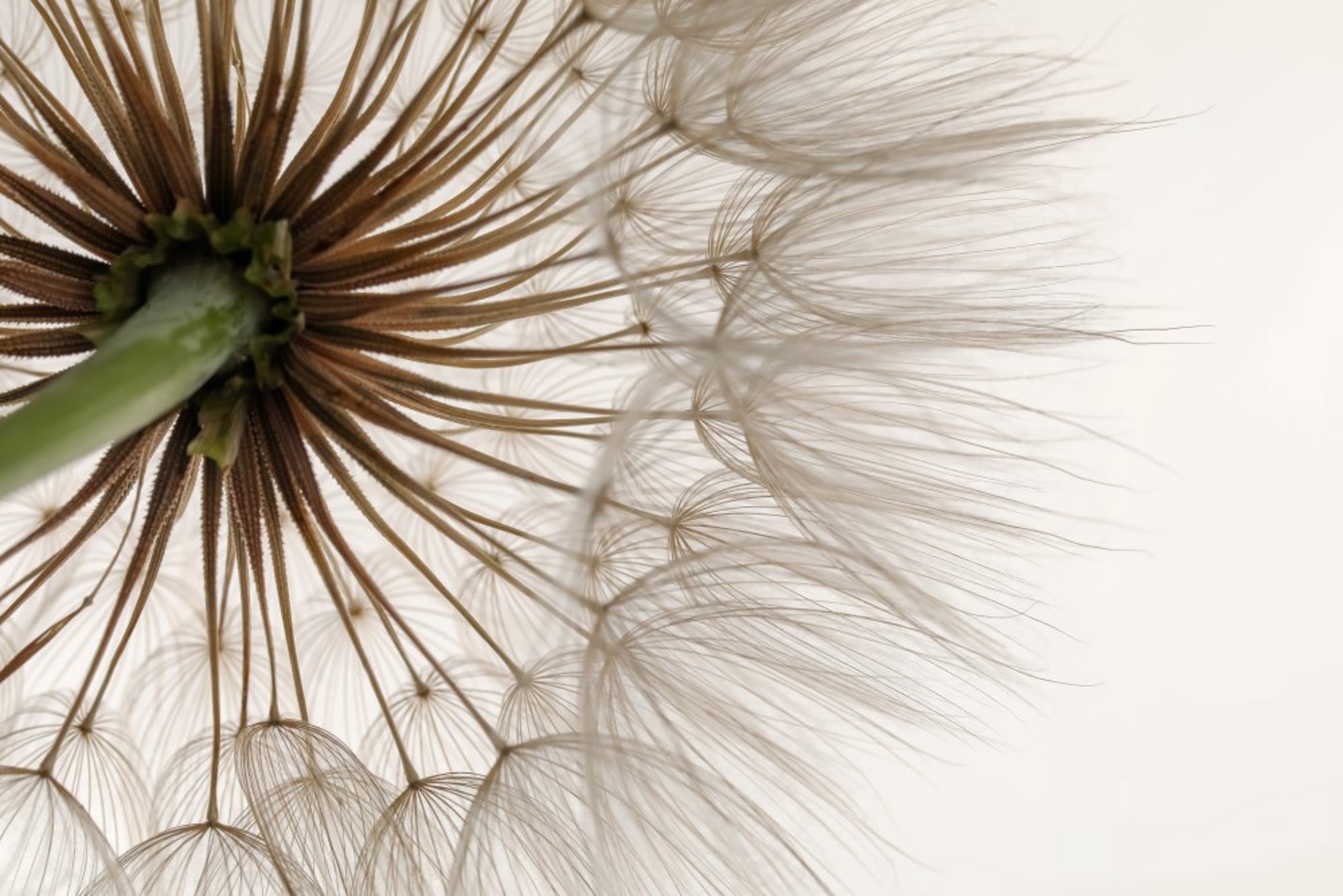 Basic need for fresh air | For our health & for us