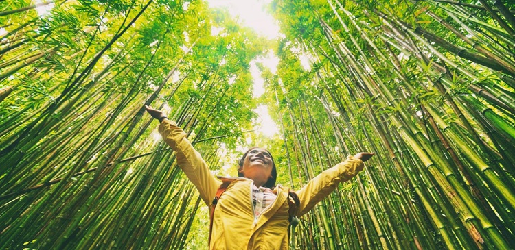 Controlling the indoor climate | Prioritize the needs of occupants in ...