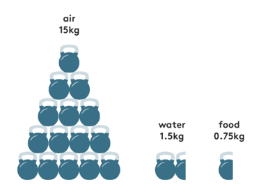 Basic need for fresh air | www.swegonairacademy.com