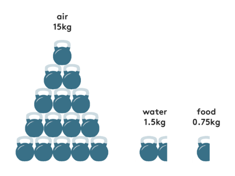Basic need for fresh air | www.swegonairacademy.com