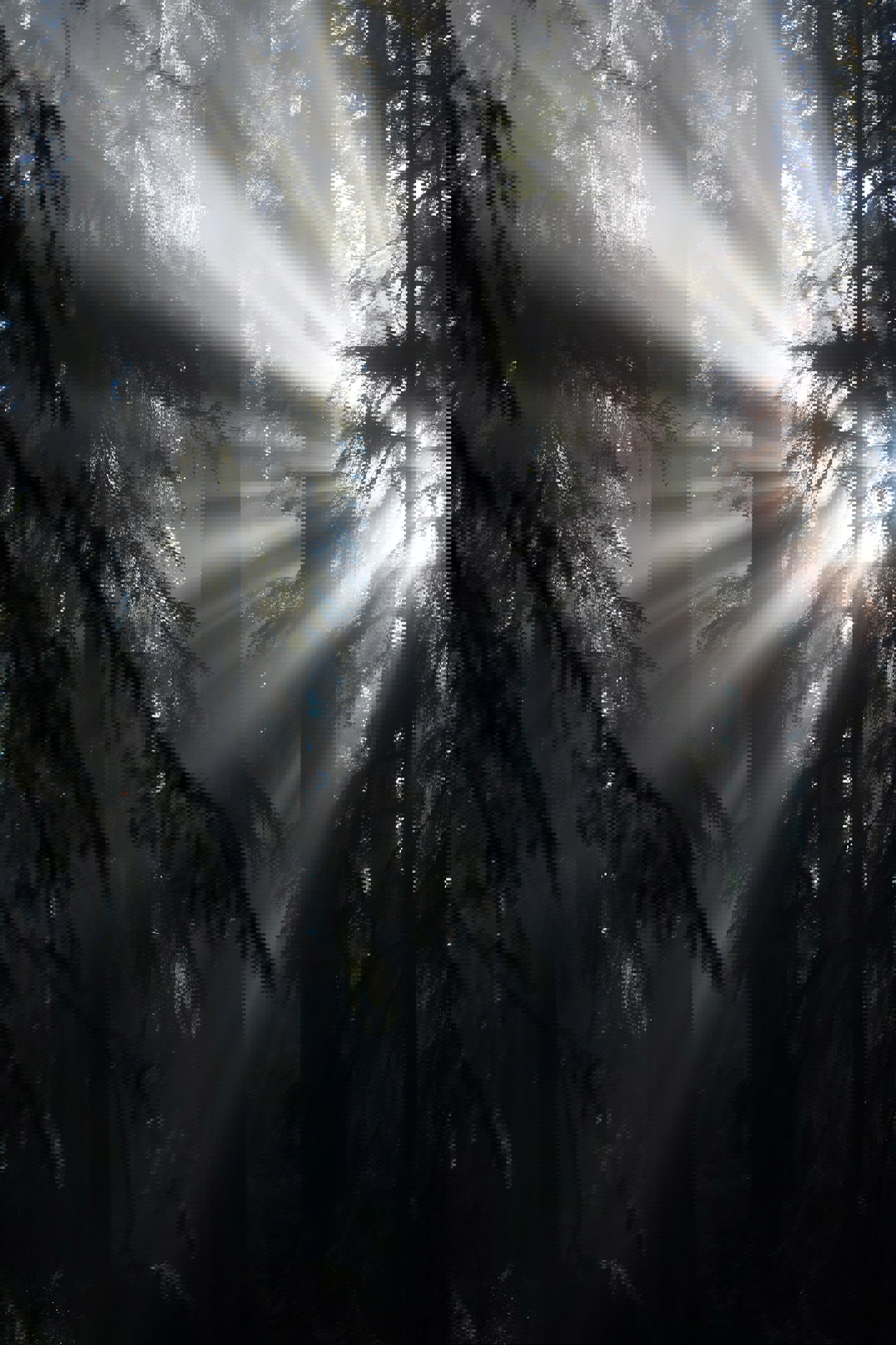 Daylight in buildings | All you need is light, daylight & sunlight