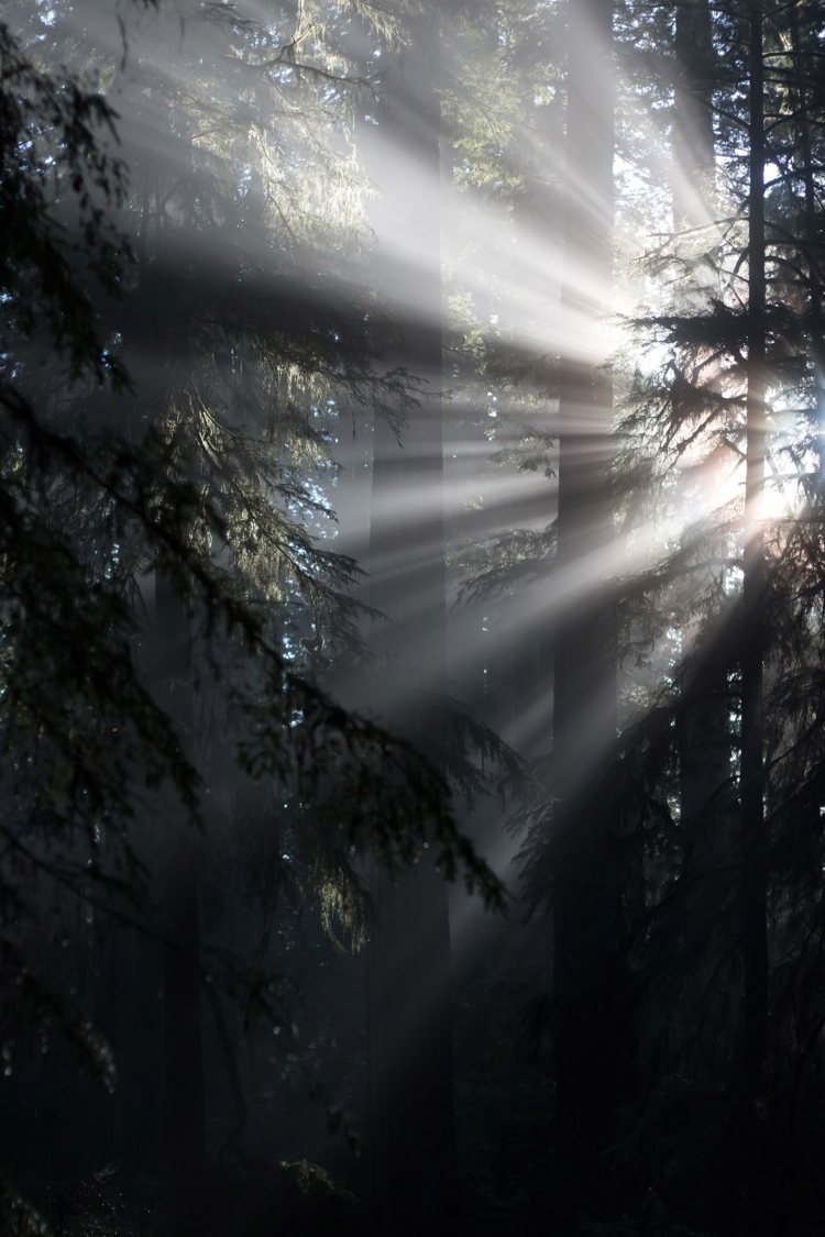 Daylight in buildings | All you need is light, daylight & sunlight