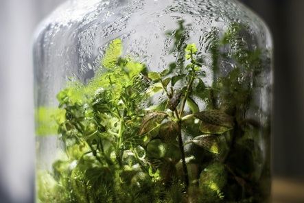 Elements of the indoor climate | www.swegonairacademy.com