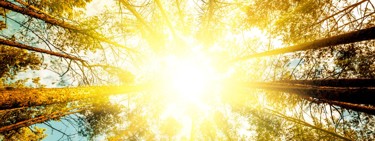 Daylight in buildings | All you need is light, daylight & sunlight